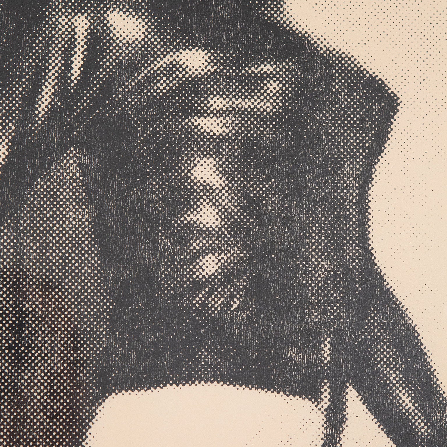 GENERAL IDEA, “ARTIST'S CONCEPTION; MISS GENERAL IDEA", 1971 – Caviar20