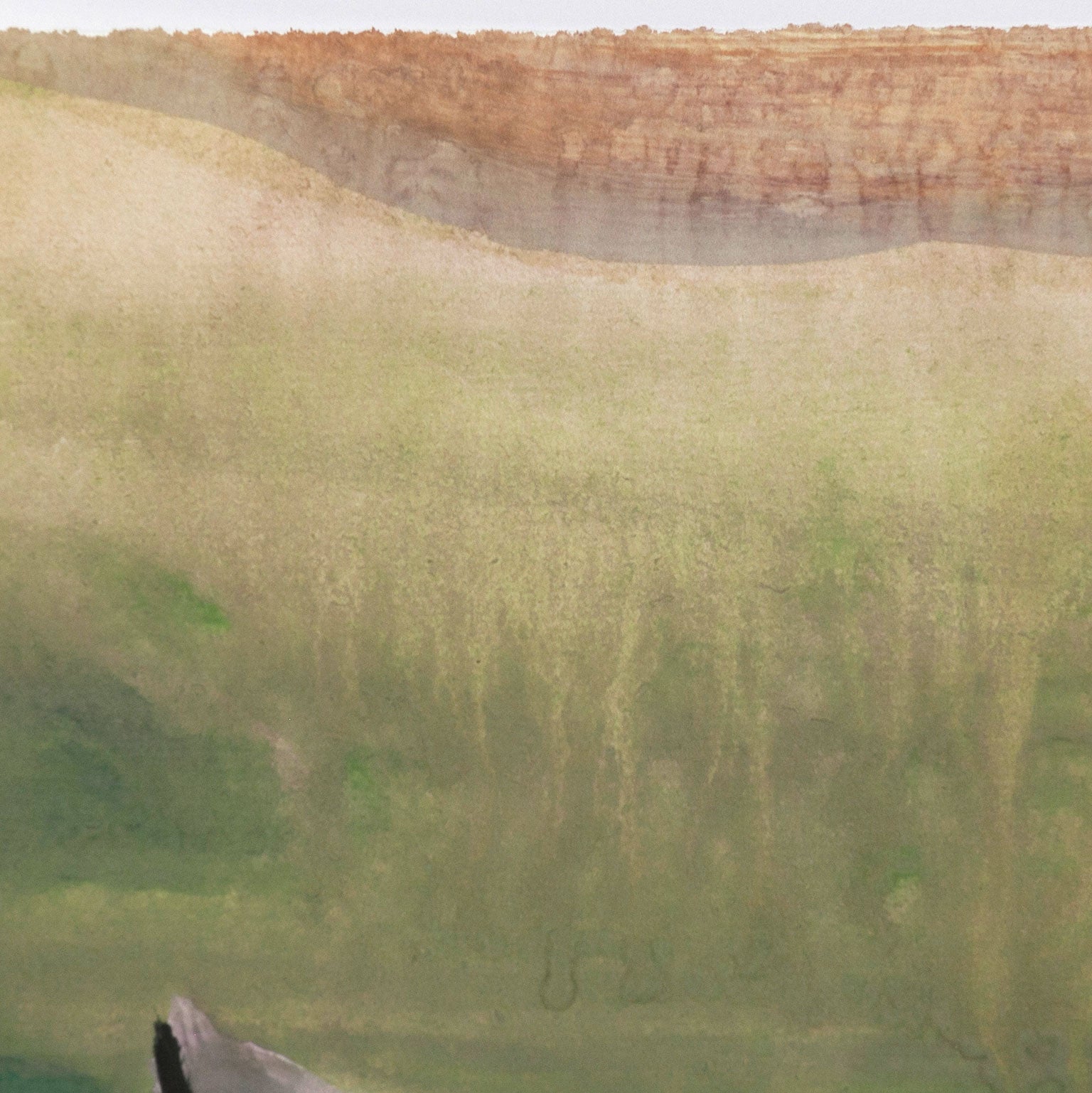 PETER DOIG "CANOE" AQUATINT, 2008 – Caviar20